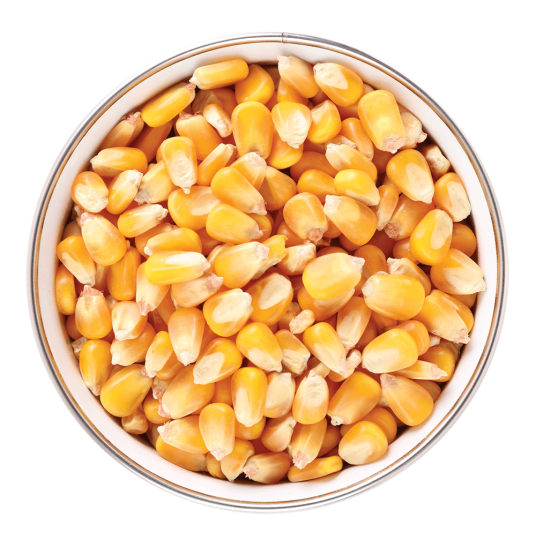 Corn